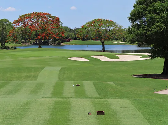 Banyan Golf Club - Linx Edition