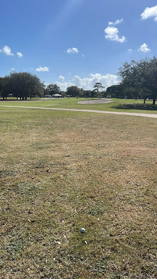 Greynolds Golf Course - Linx Edition