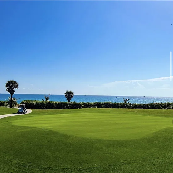 Raymond Golf Course - Linx Edition