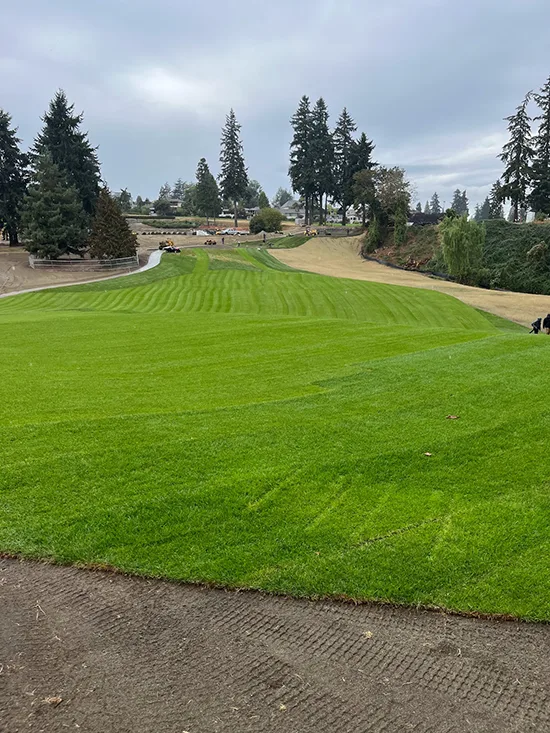 Sand Point Country Club - Linx Edition